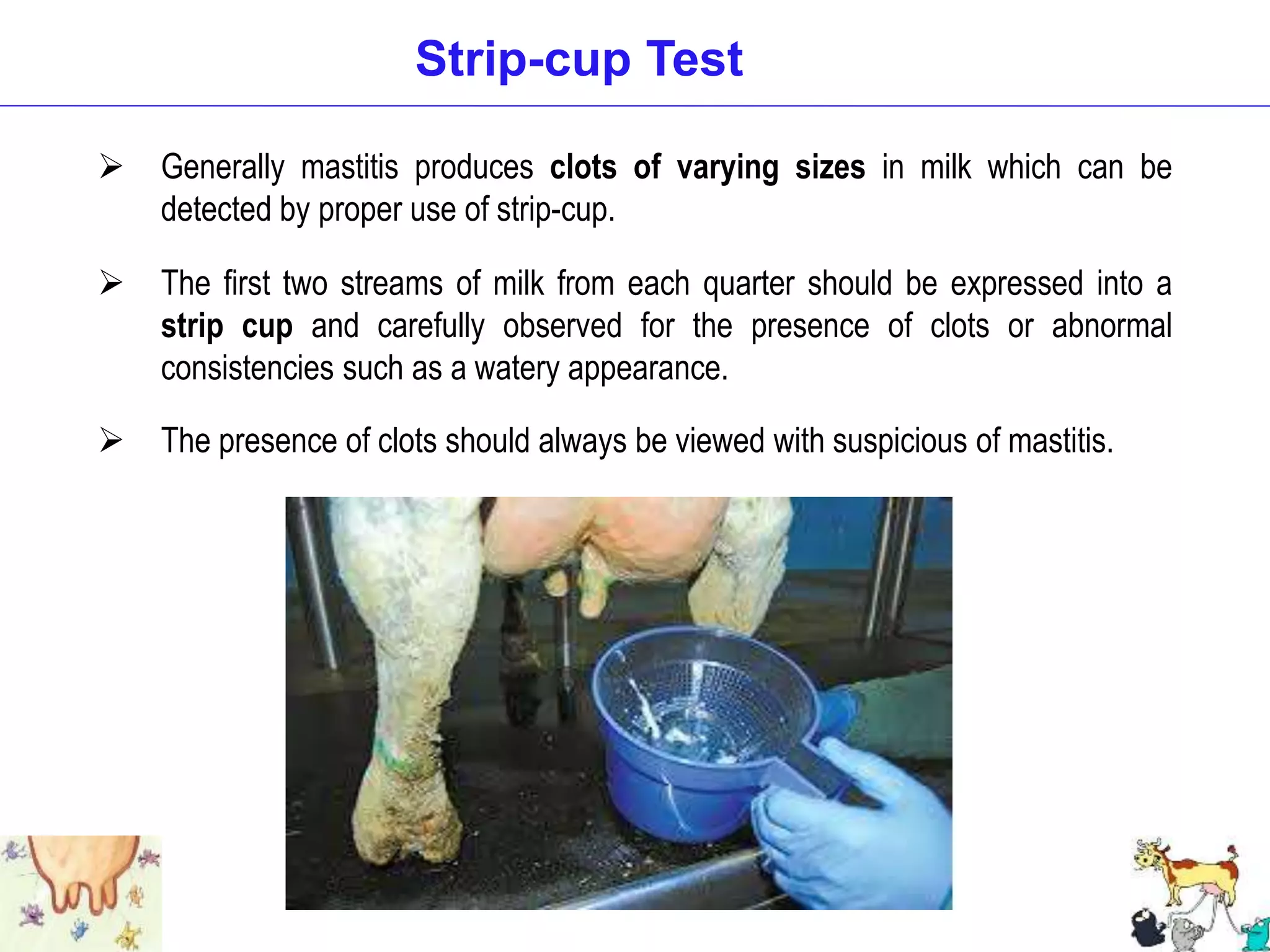 Mastitis | PPTX