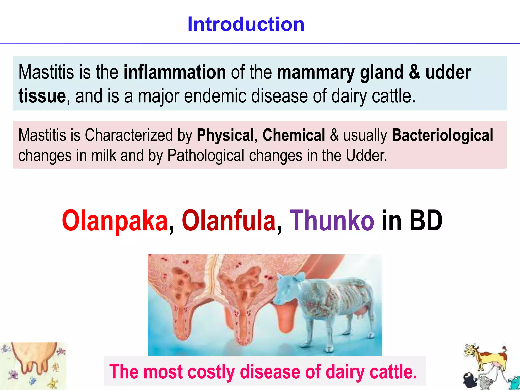 Mastitis | PPTX