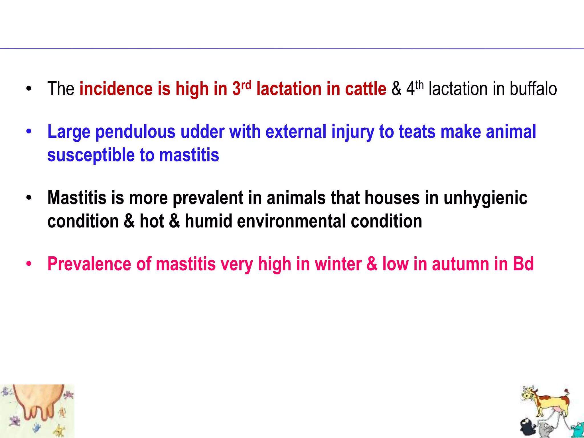 Mastitis | PPTX