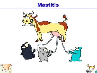 Mastitis | PPTX