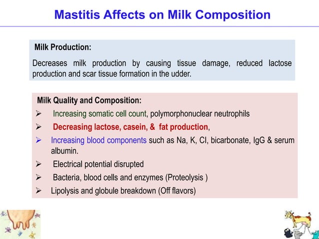 Mastitis | PPTX | Ear, Nose and Throat Conditions | Diseases and Conditions