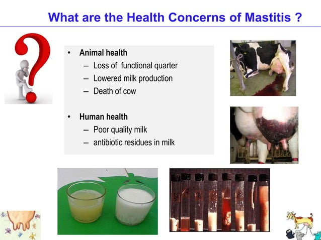 Mastitis | PPTX | Ear, Nose and Throat Conditions | Diseases and Conditions