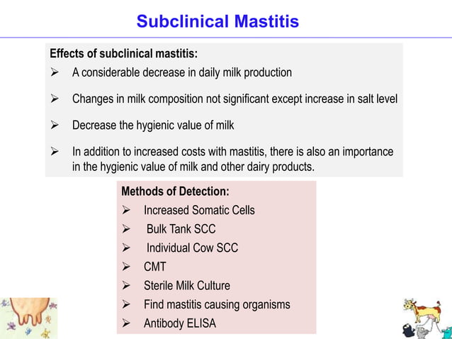 Mastitis | PPTX | Ear, Nose and Throat Conditions | Diseases and Conditions
