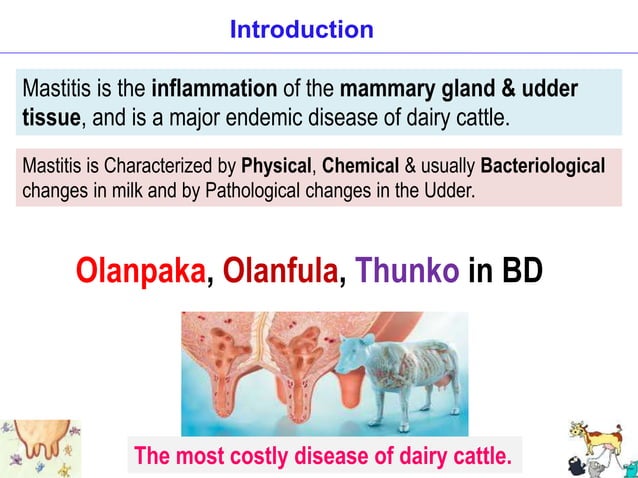 Mastitis | PPTX | Ear, Nose and Throat Conditions | Diseases and Conditions