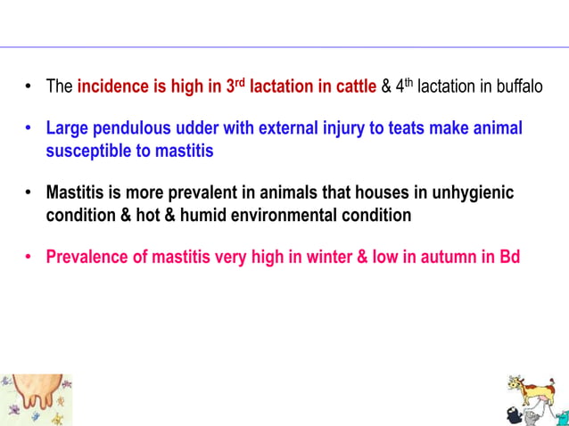 Mastitis | PPTX | Ear, Nose and Throat Conditions | Diseases and Conditions