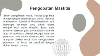 MASTITIS.pptx