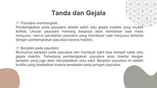 MASTITIS.pptx