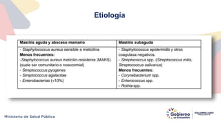 MASTITIS.pptx