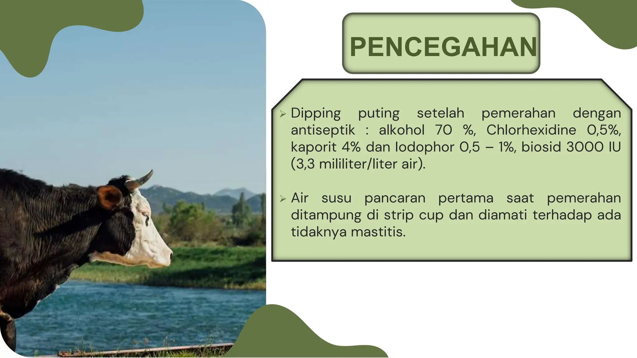 Mastitis_110035.pptx