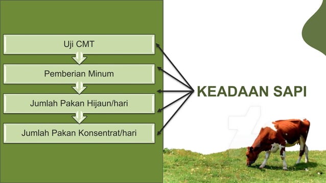 Mastitis_110035.pptx