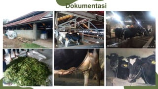 Mastitis_110035.pptx
