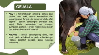Mastitis_110035.pptx