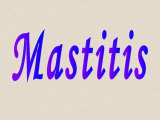 Mastitis (2) | PPS