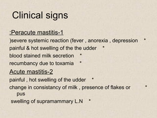Mastitis (2) | PPT