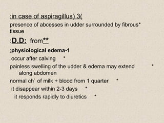Mastitis (2) | PPS