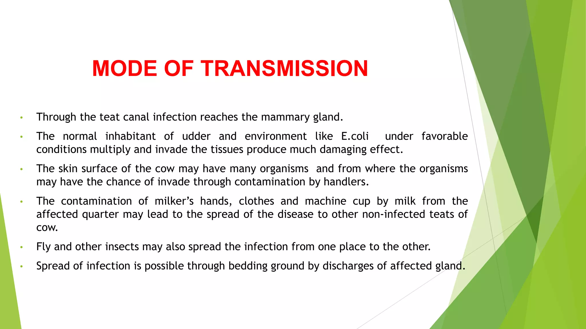 MASTITIES OF COW | PPTX