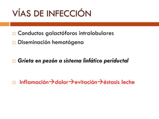 Mastitis aguda puerperal 2016 | PDF