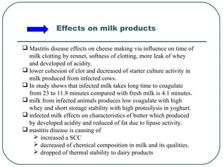 Mastitis and its effect on milk processing | PPT