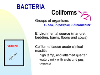 Mastitis and its effect on milk processing | PPT