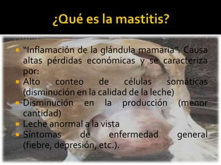 Mastitis bovina | PPTX