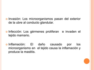 Mastitis bovina | PPTX