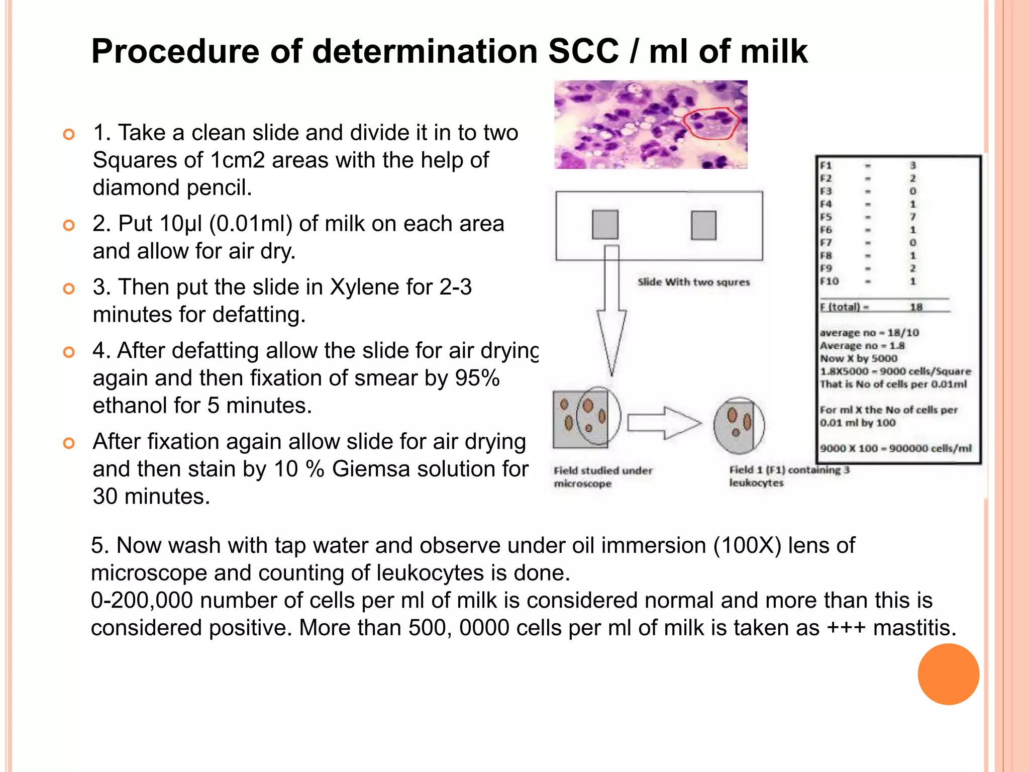 MASTITIS DIAGNOSIS by ADIL RASOOL PARAY | PPTX