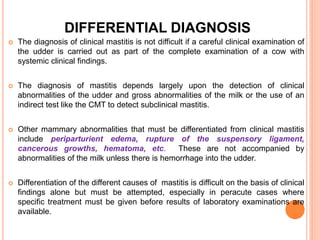 MASTITIS DIAGNOSIS by ADIL RASOOL PARAY | PPTX
