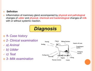 MASTITIS DIAGNOSIS by ADIL RASOOL PARAY | PPTX