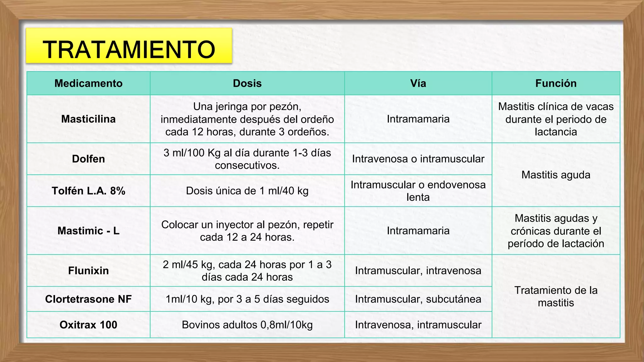 Mastitis en bovinos | PPTX | Veterinary Medicine | Pets
