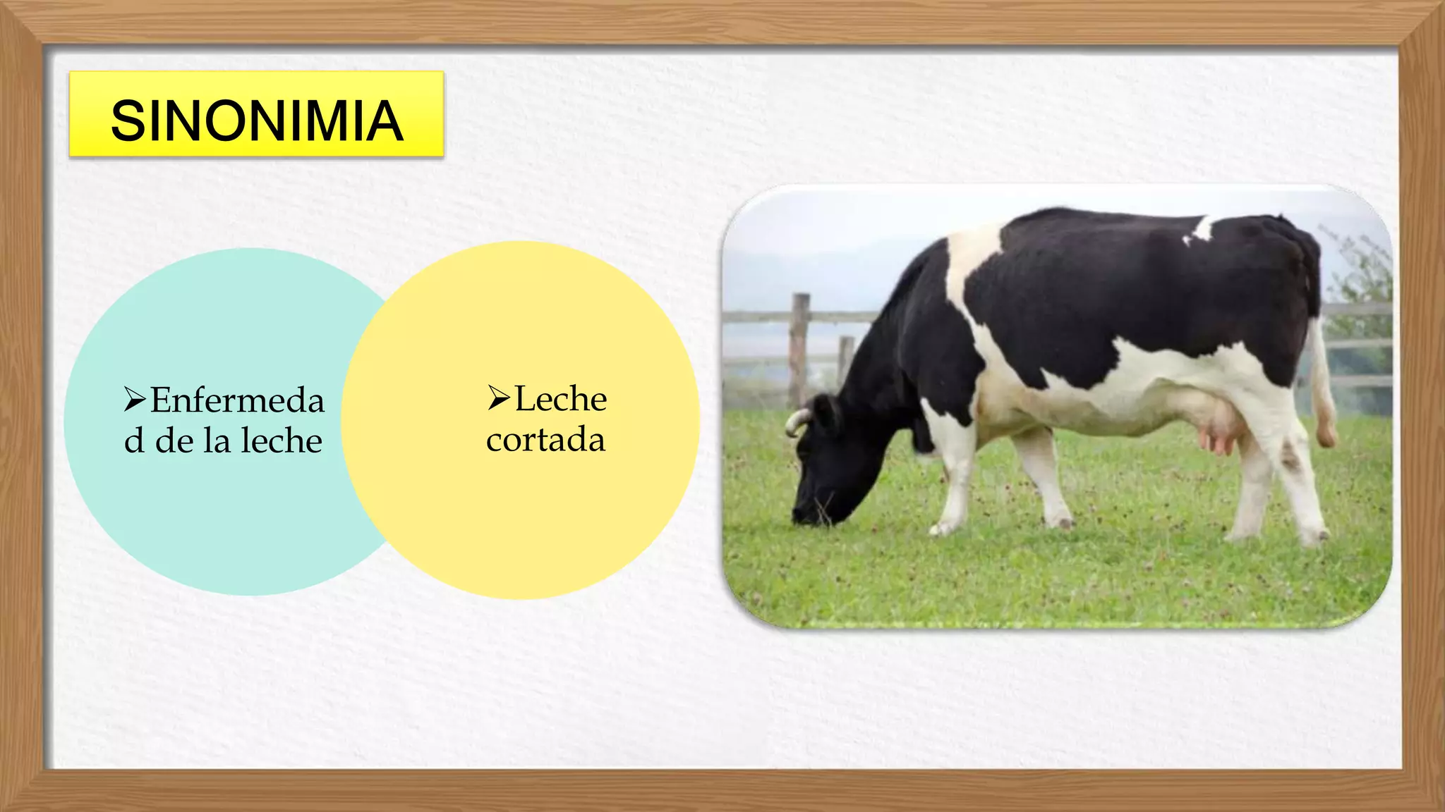 Mastitis en bovinos | PPTX | Veterinary Medicine | Pets