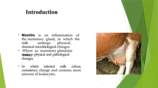 MASTITIS in cattle presentation veterinary medicine | PPTX