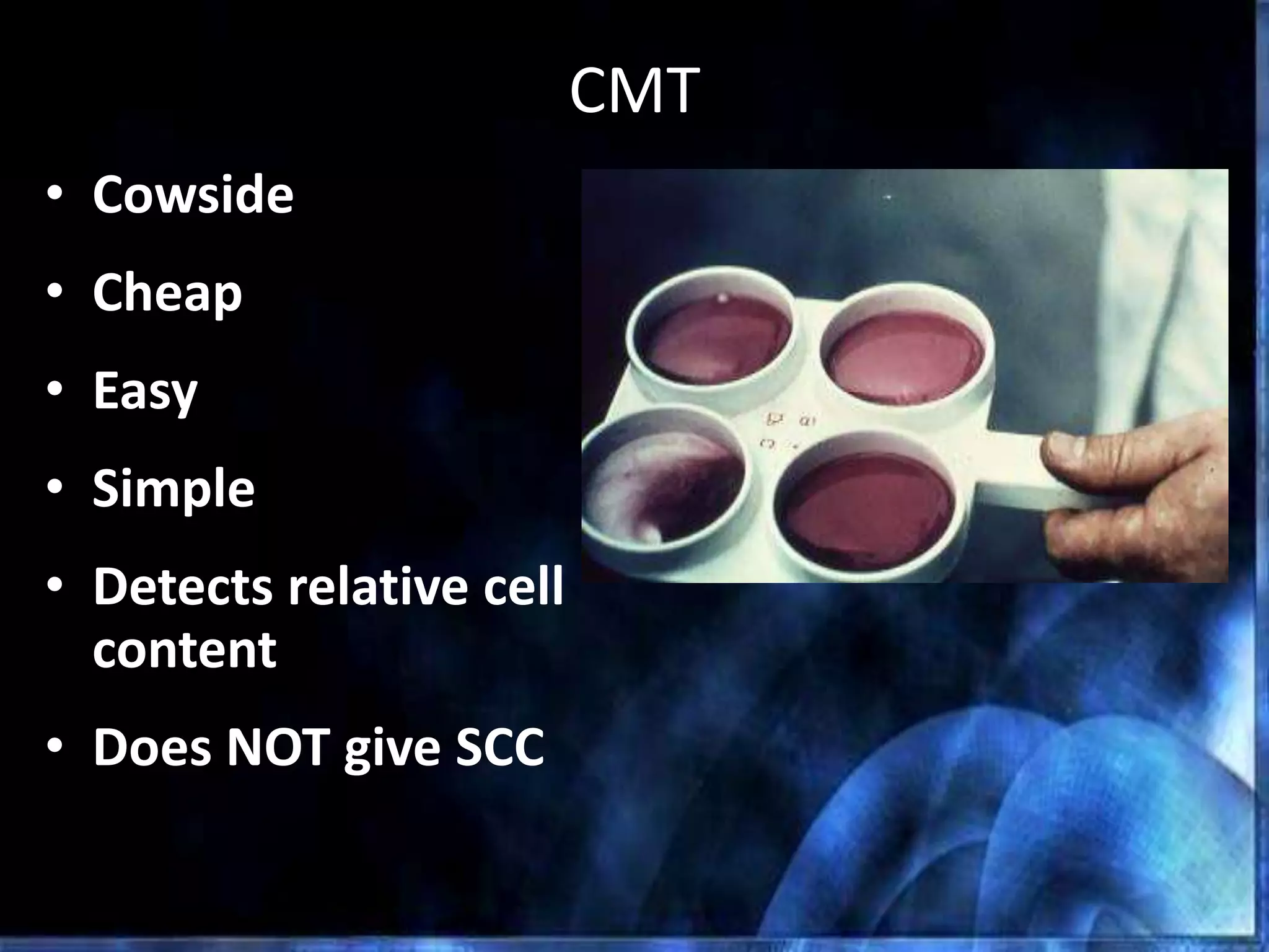 Mastitis Management and Prevention | PPTX | Diseases and Conditions | Medical Health