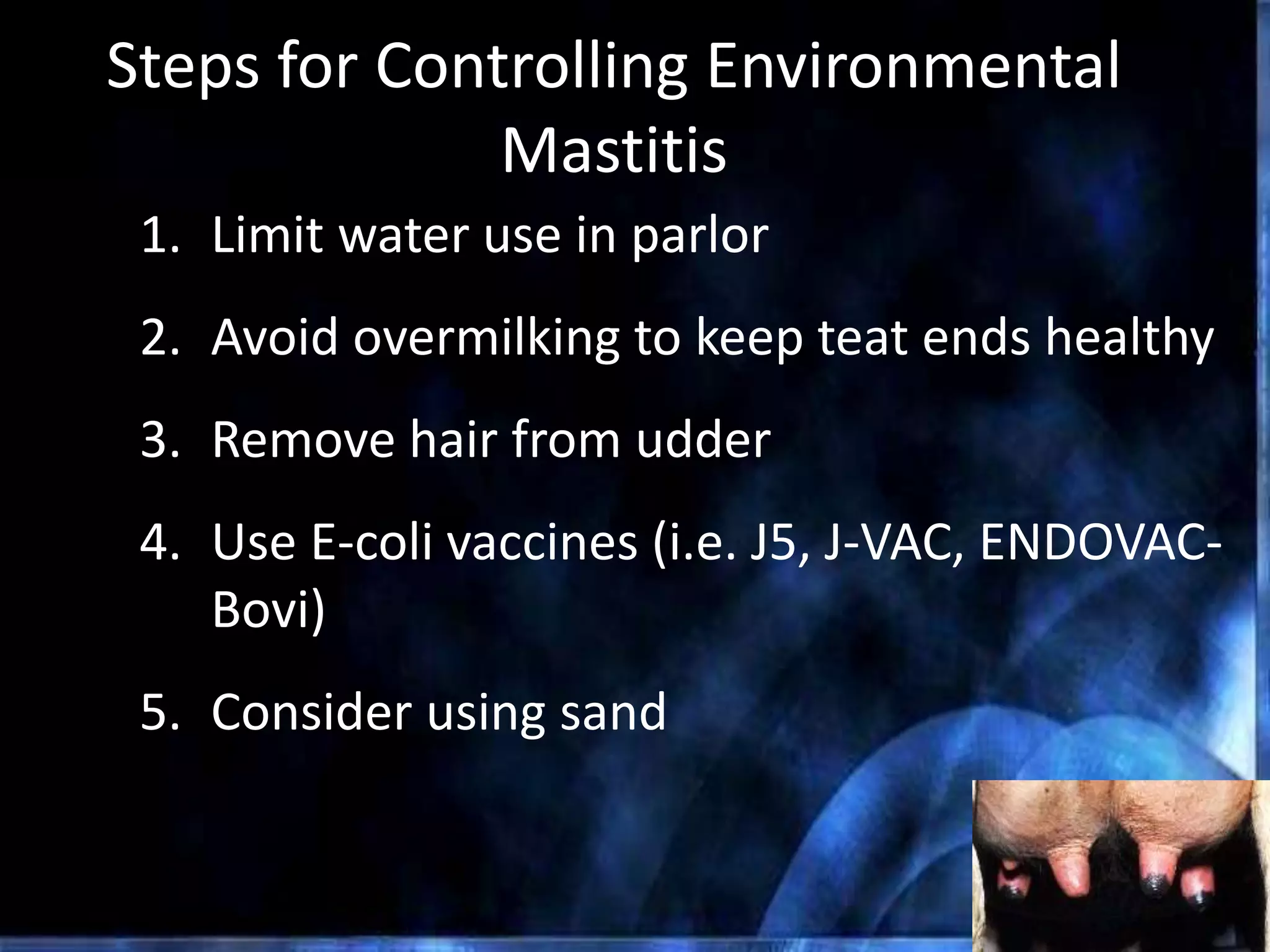 Mastitis Management and Prevention | PPTX | Diseases and Conditions | Medical Health