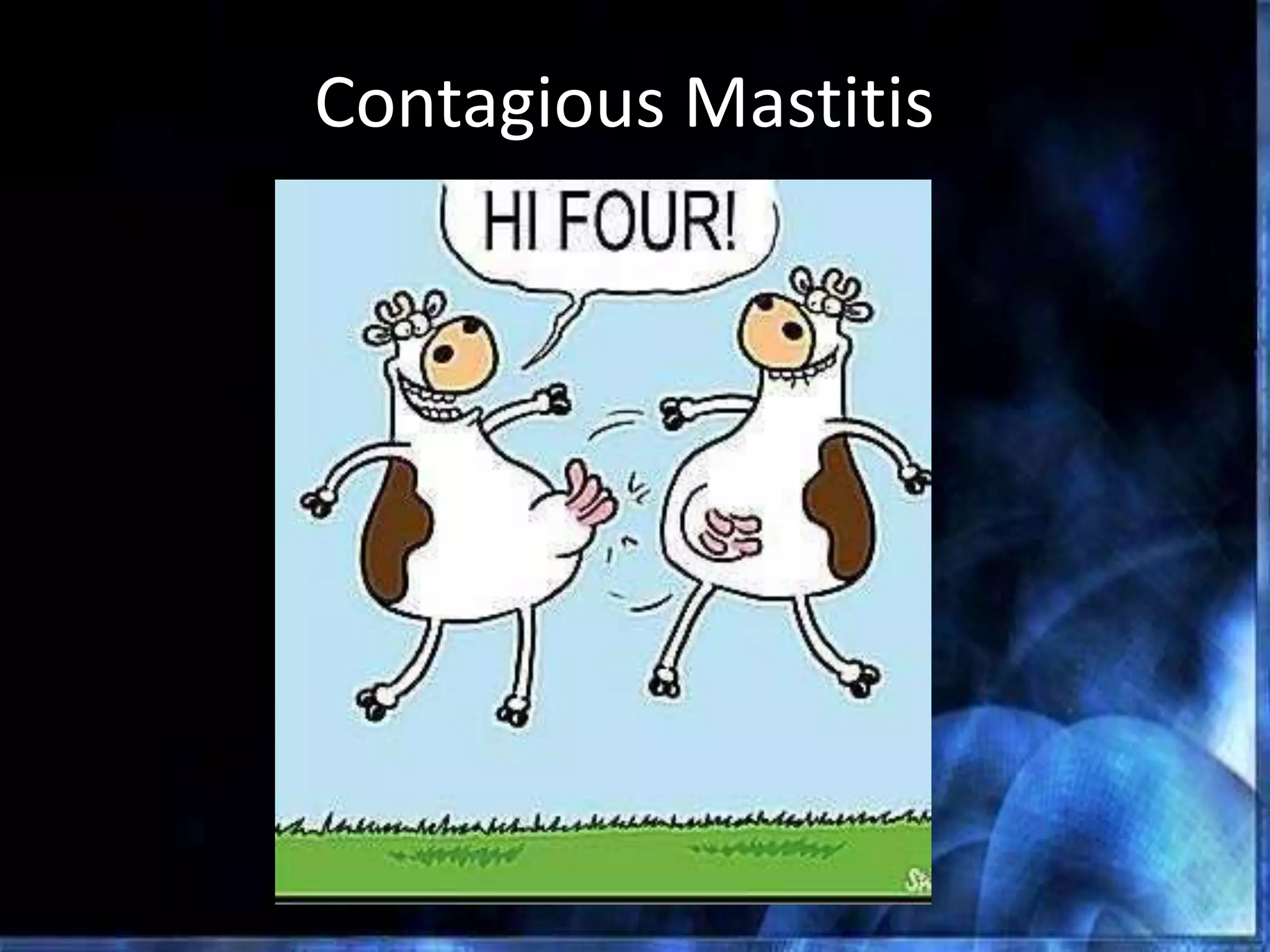 Mastitis Management and Prevention | PPTX