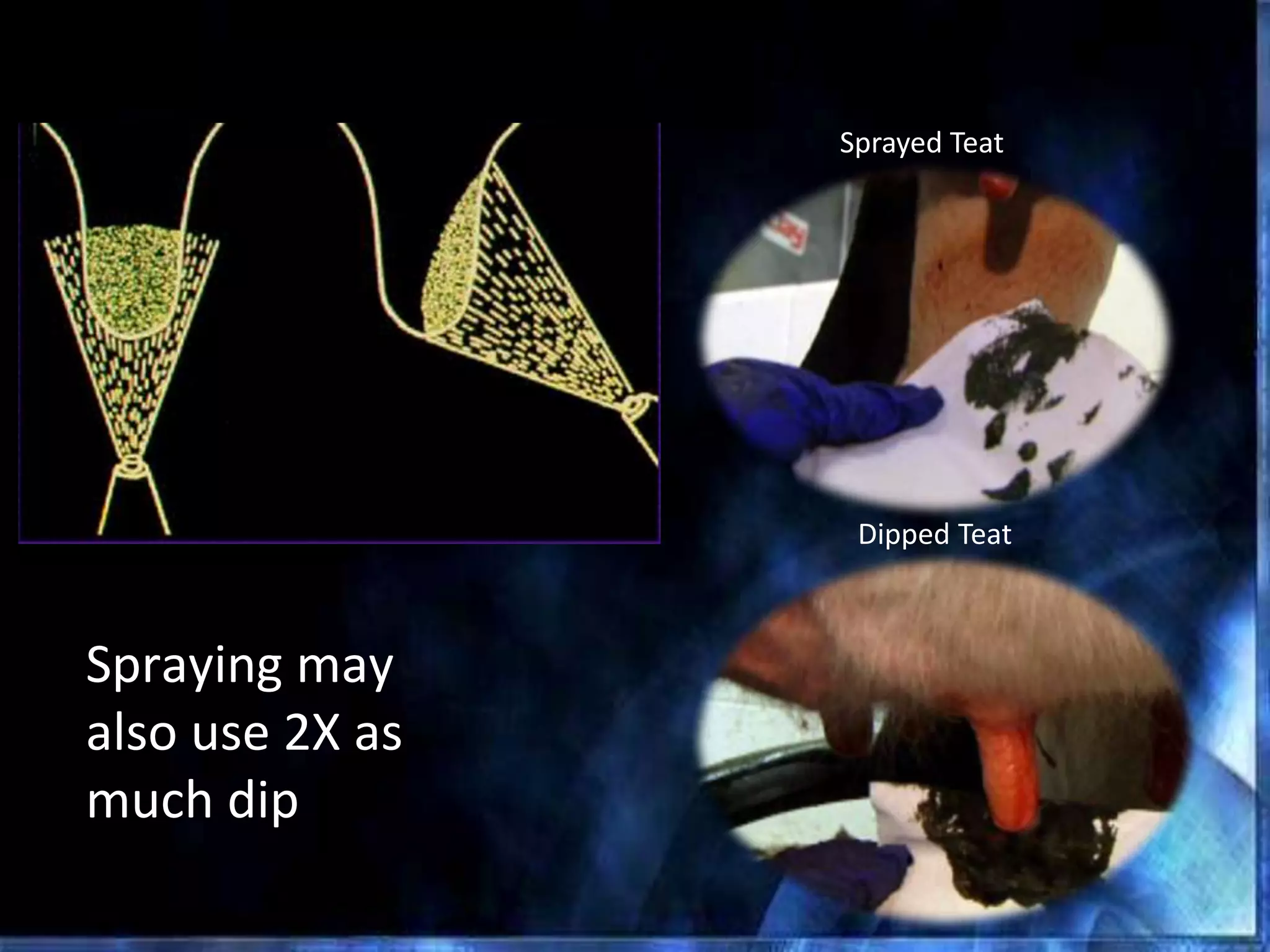 Mastitis Management and Prevention | PPTX