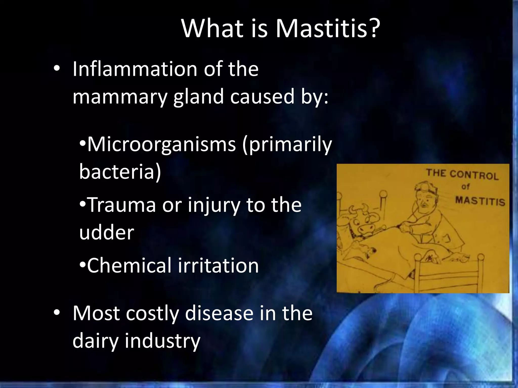 Mastitis Management and Prevention | PPTX
