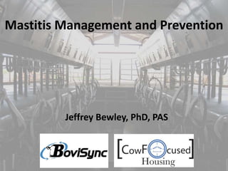 Mastitis Management and Prevention | PPTX