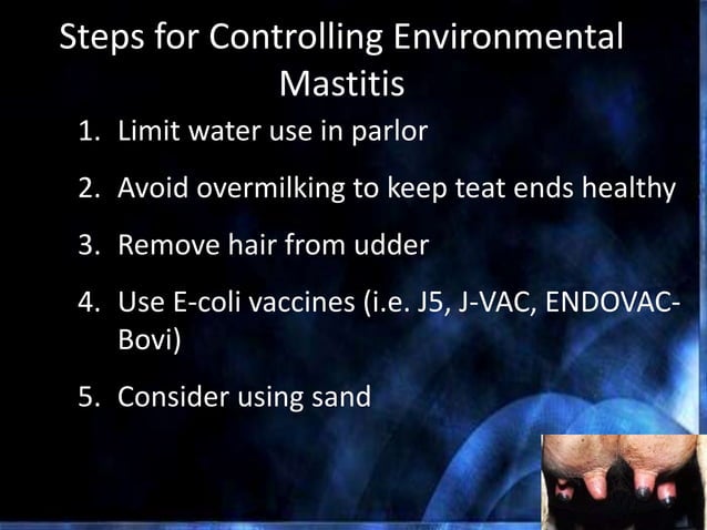 Mastitis Management and Prevention | PPTX | Diseases and Conditions ...