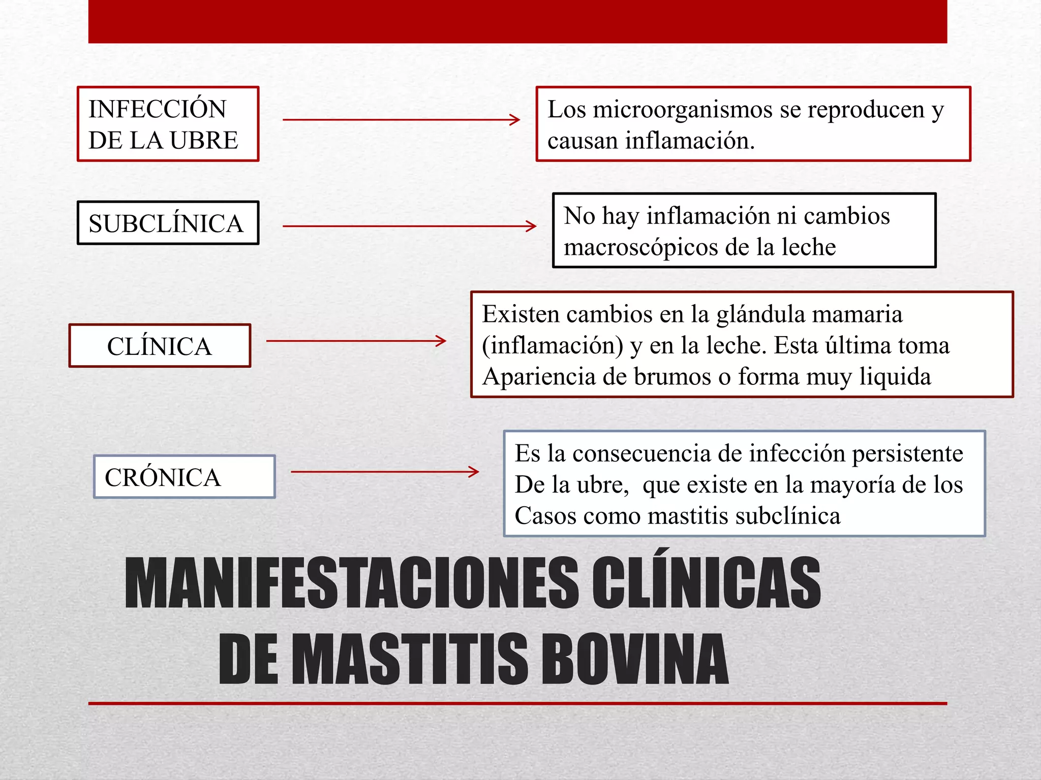 Mastitis metodo diagnostico | PPT