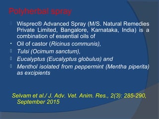 Mastitis phyto therapy | PPT