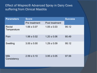 Mastitis phyto therapy | PPT
