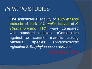 Mastitis phyto therapy | PPT