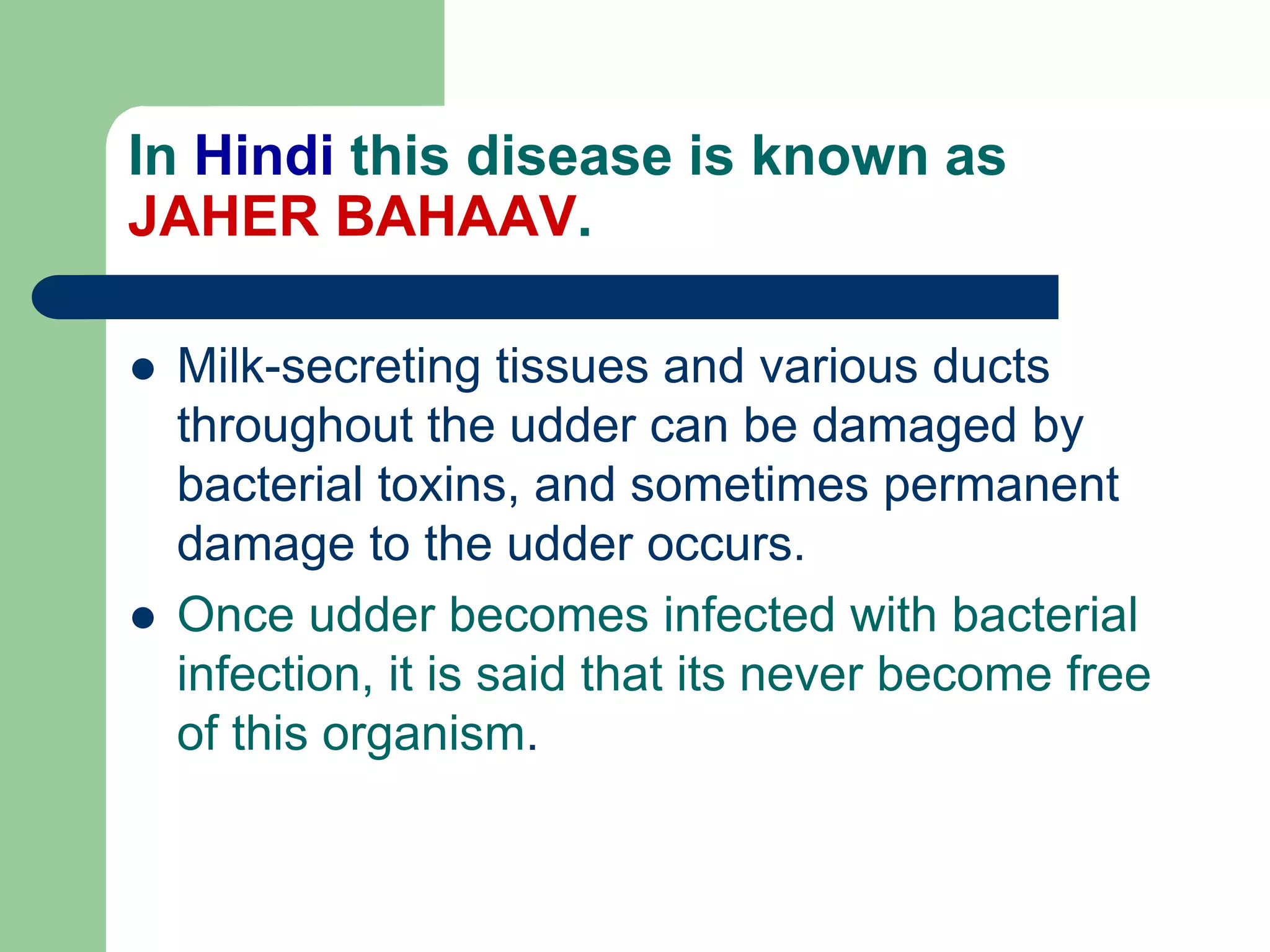 Mastitis in cattle, buffalo | PPT