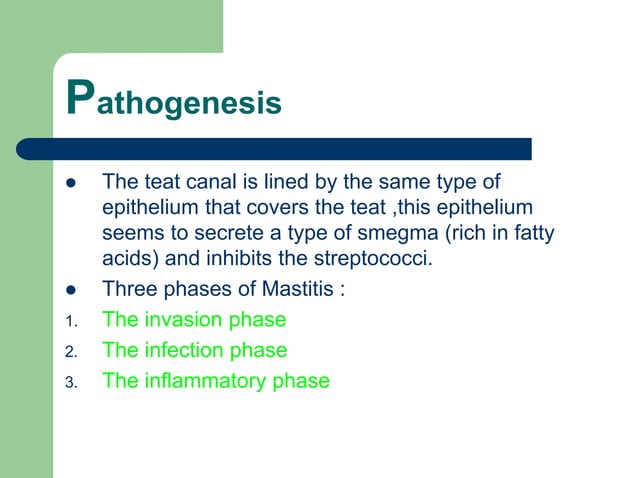 Mastitis in cattle, buffalo | PPT | Ear, Nose and Throat Conditions ...