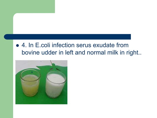 Mastitis in cattle, buffalo | PPT | Ear, Nose and Throat Conditions ...