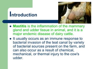 Mastitis in cattle, buffalo | PPT