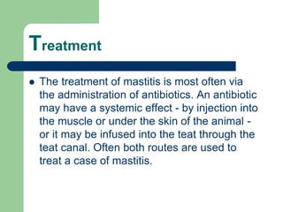 Mastitis in cattle, buffalo | PPT