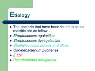 Mastitis in cattle, buffalo | PPT