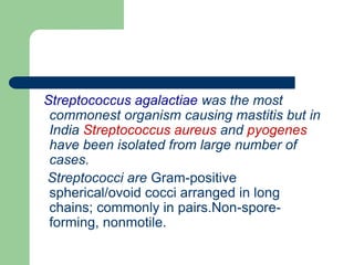 Mastitis in cattle, buffalo | PPT