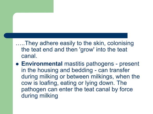 Mastitis in cattle, buffalo | PPT | Ear, Nose and Throat Conditions | Diseases and Conditions